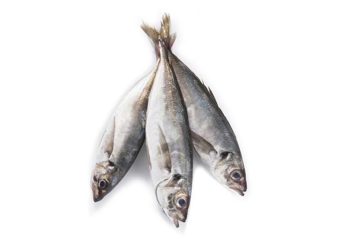 Черноморски сафрид 40/50 бр 1кг