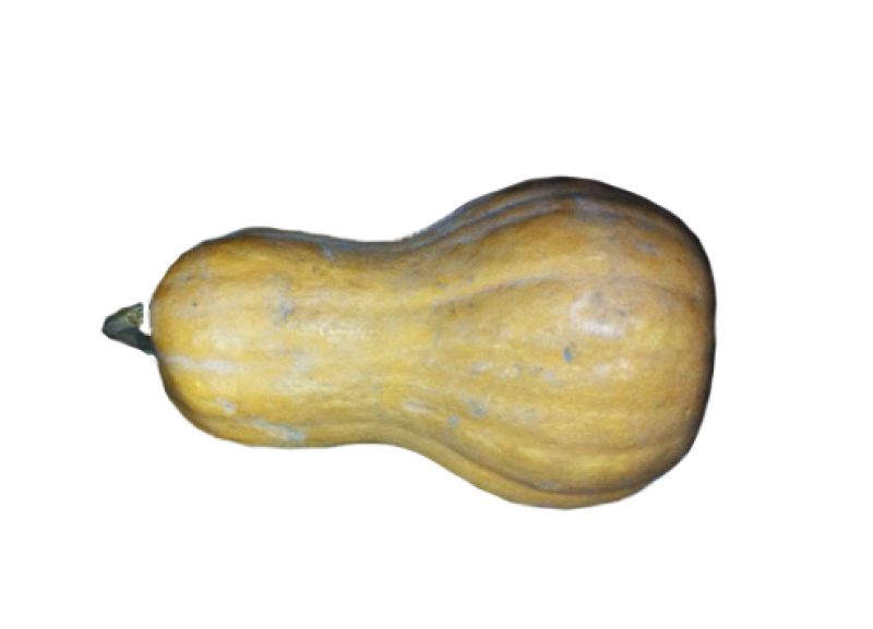 Тиква Цигулка 2кг